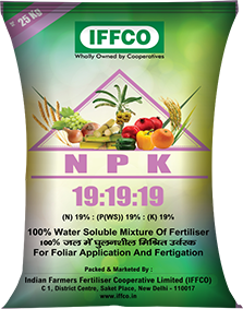 Npk 19 19 19 store